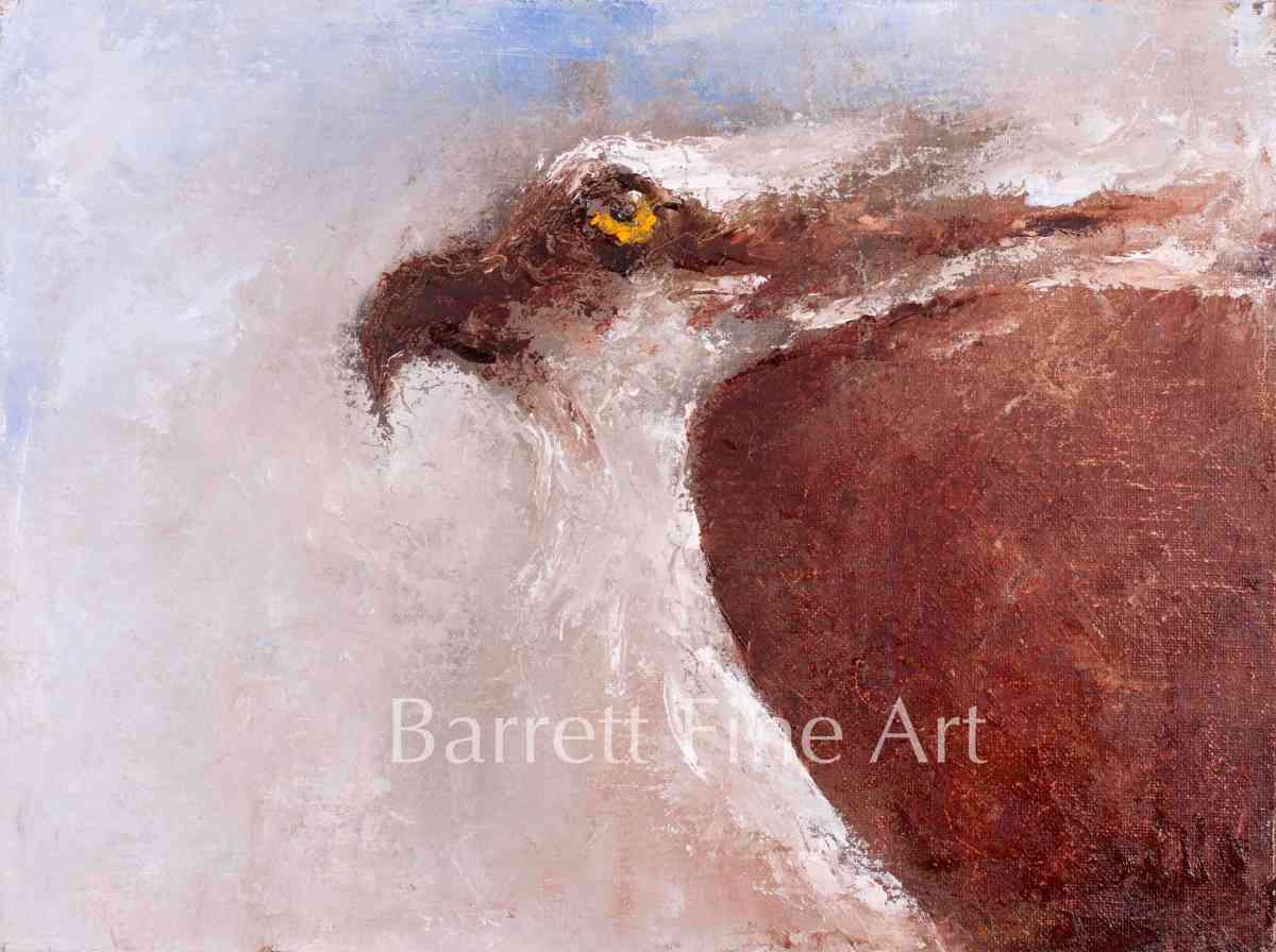 Osprey – Jim Barrett Fine Art